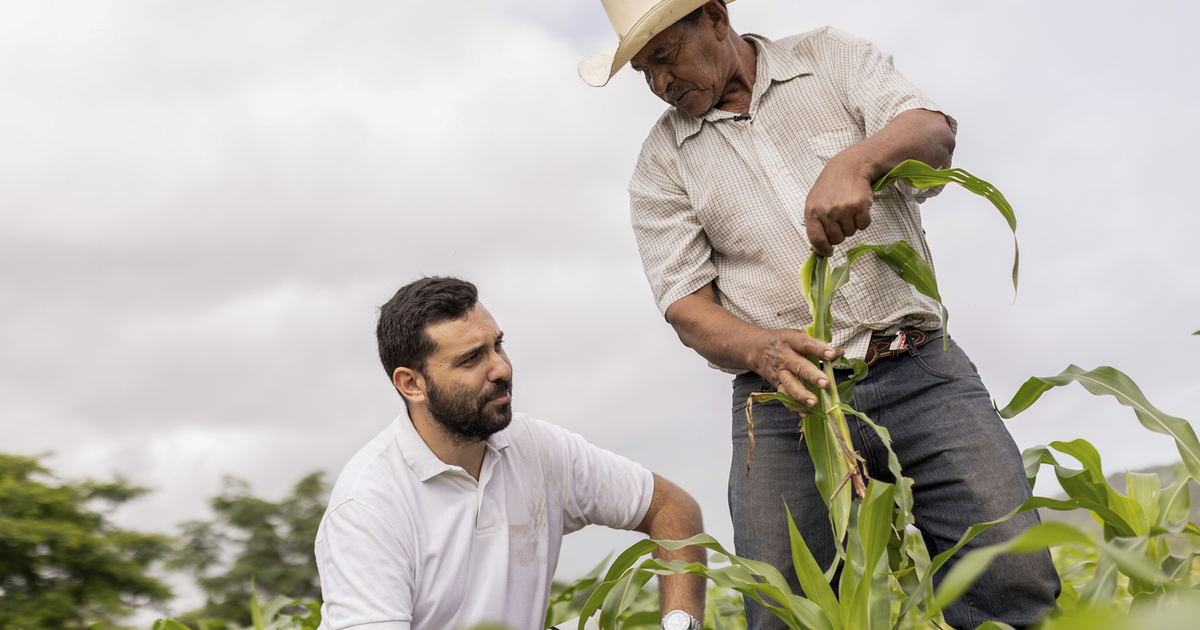 Navigating the Triple Nexus